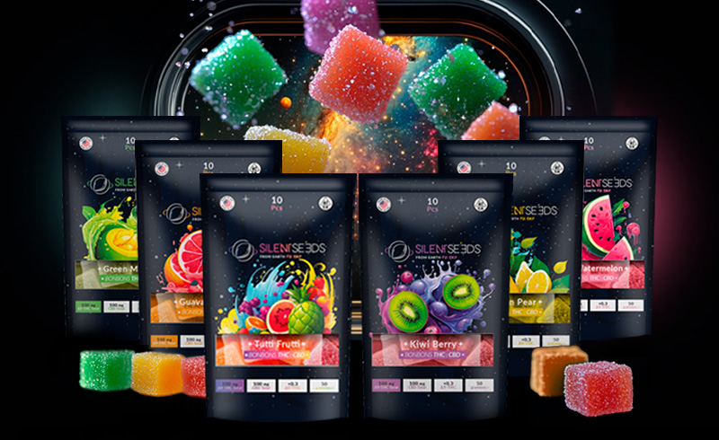 Silent Seeds | Buy premium cannabis seeds