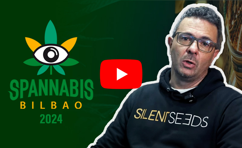 Silent Seeds | Buy premium cannabis seeds