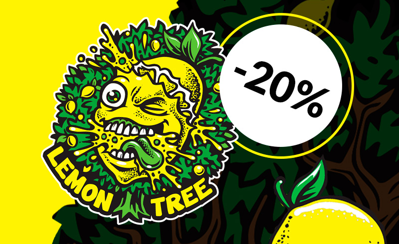 Silent Seeds | Buy premium cannabis seeds